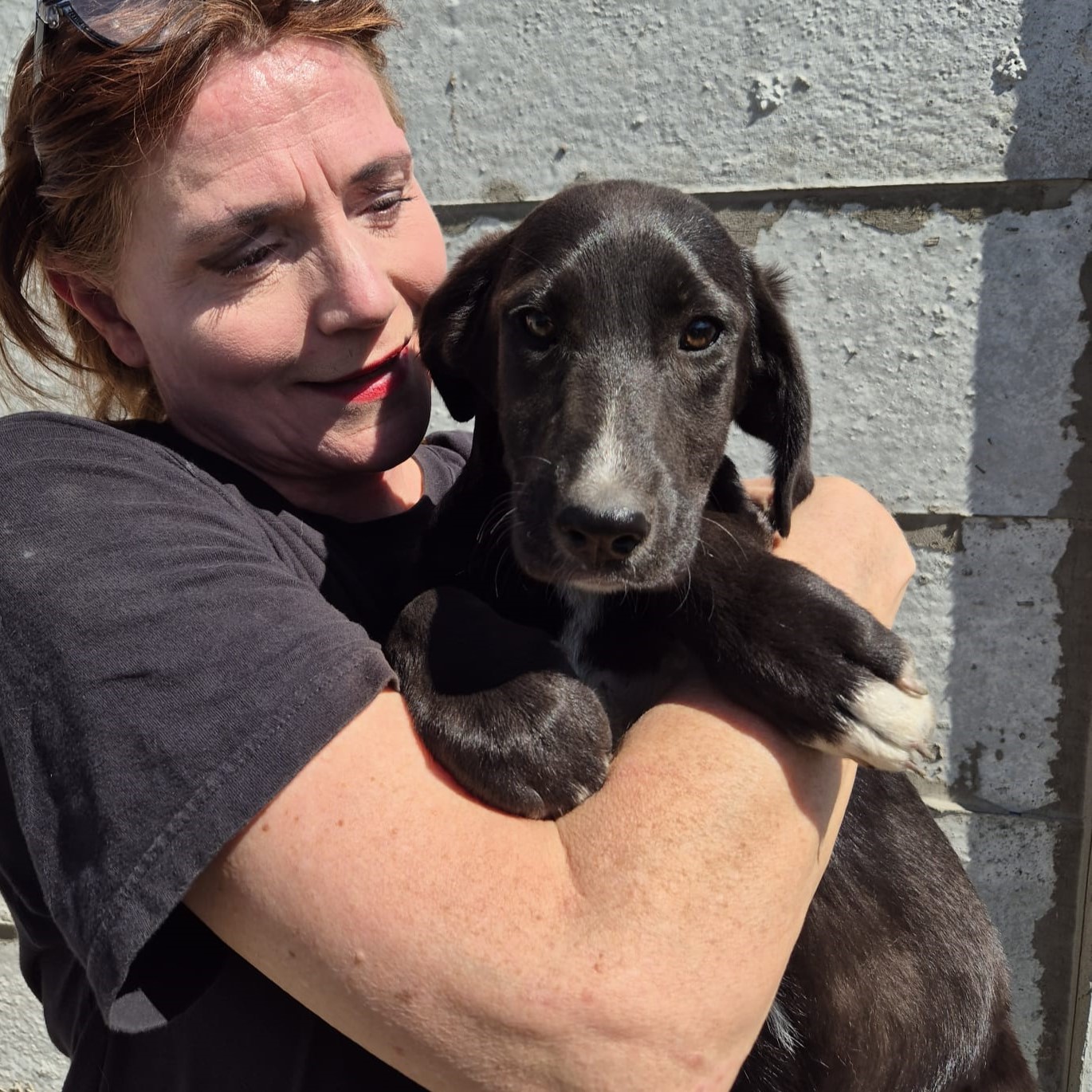 Milka | Animal in need