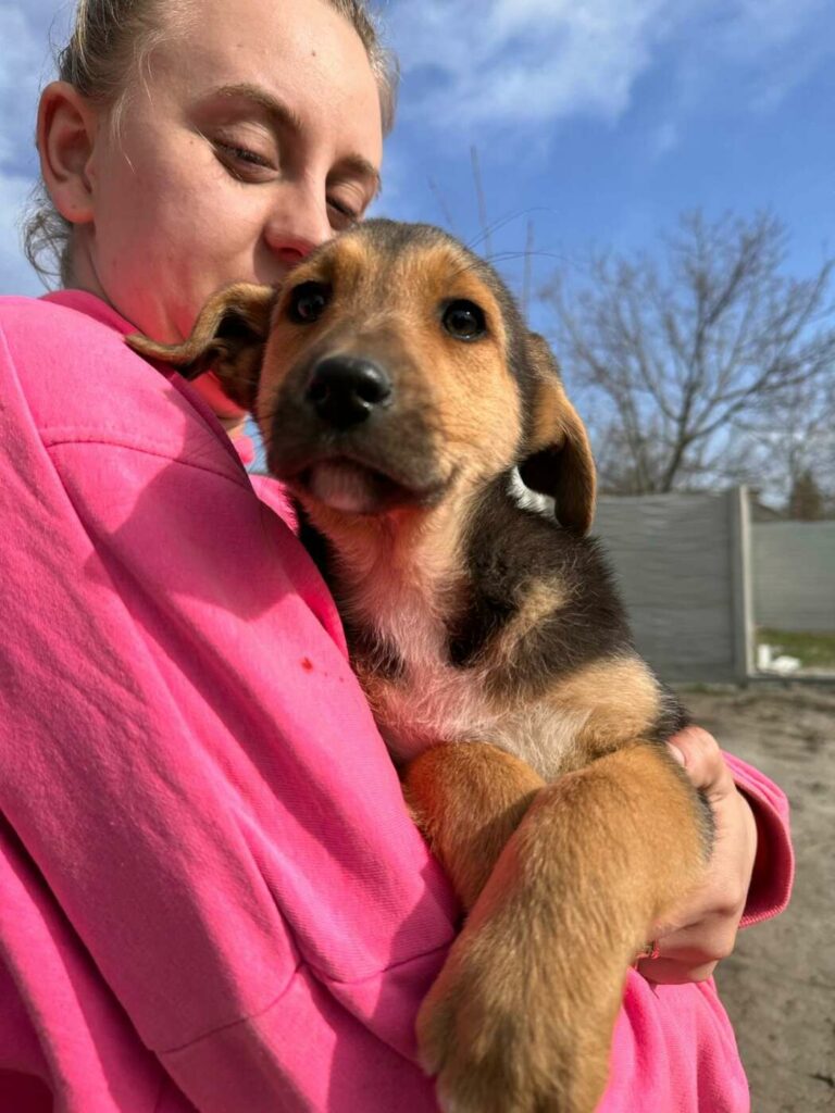 Twix | Animal in need